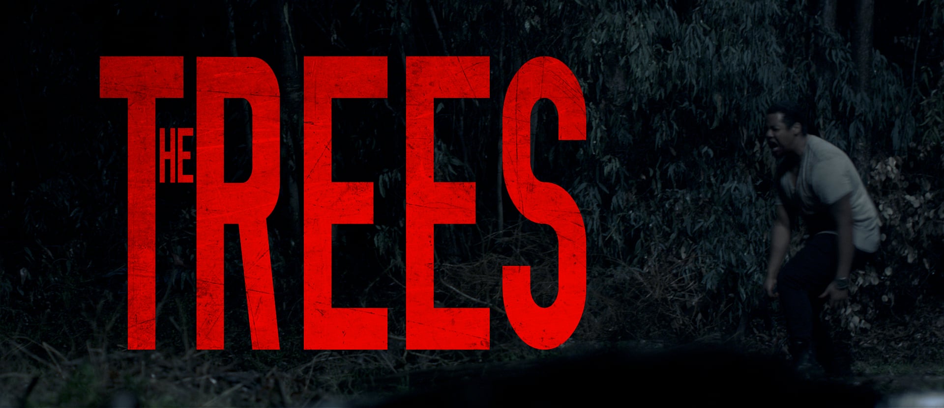 The Trees (2015) Trailer on Vimeo