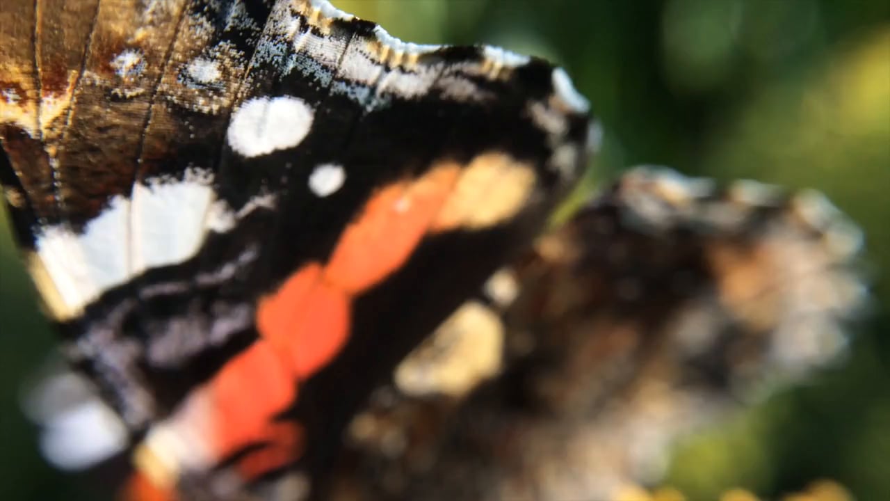 Sunday's daze!? on Vimeo
