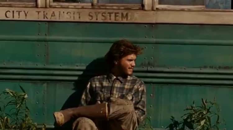 Eddie Vedder Into The Wild Lyrics