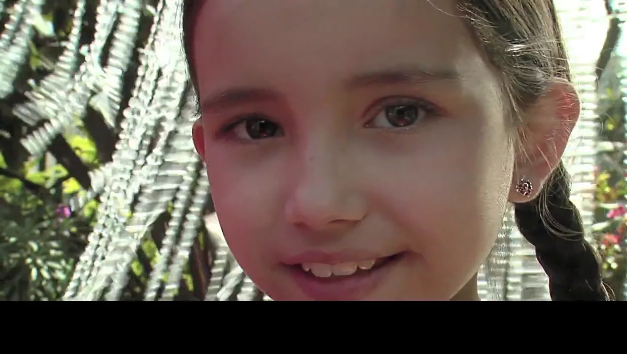 Watch Universal Signs Online | Vimeo On Demand on Vimeo