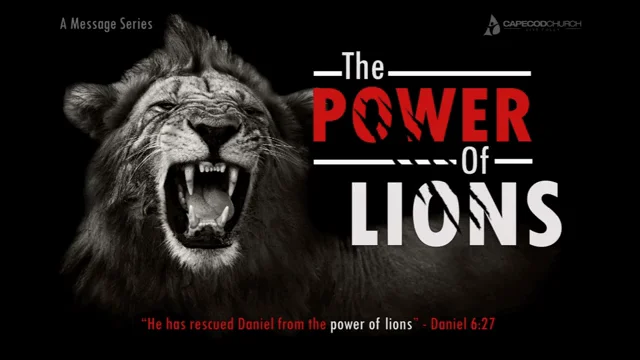 The Power of Lions: Commitment on Vimeo