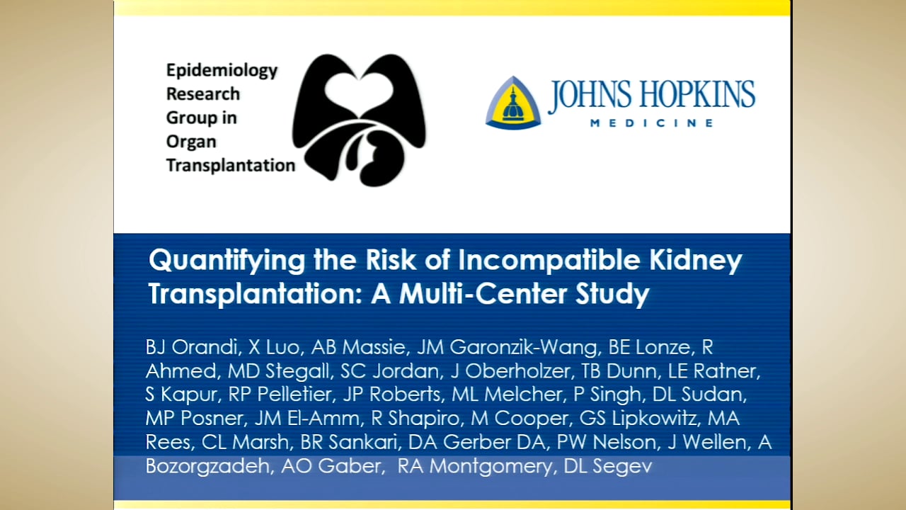 Sunday 0936 Babak Orandi on Vimeo