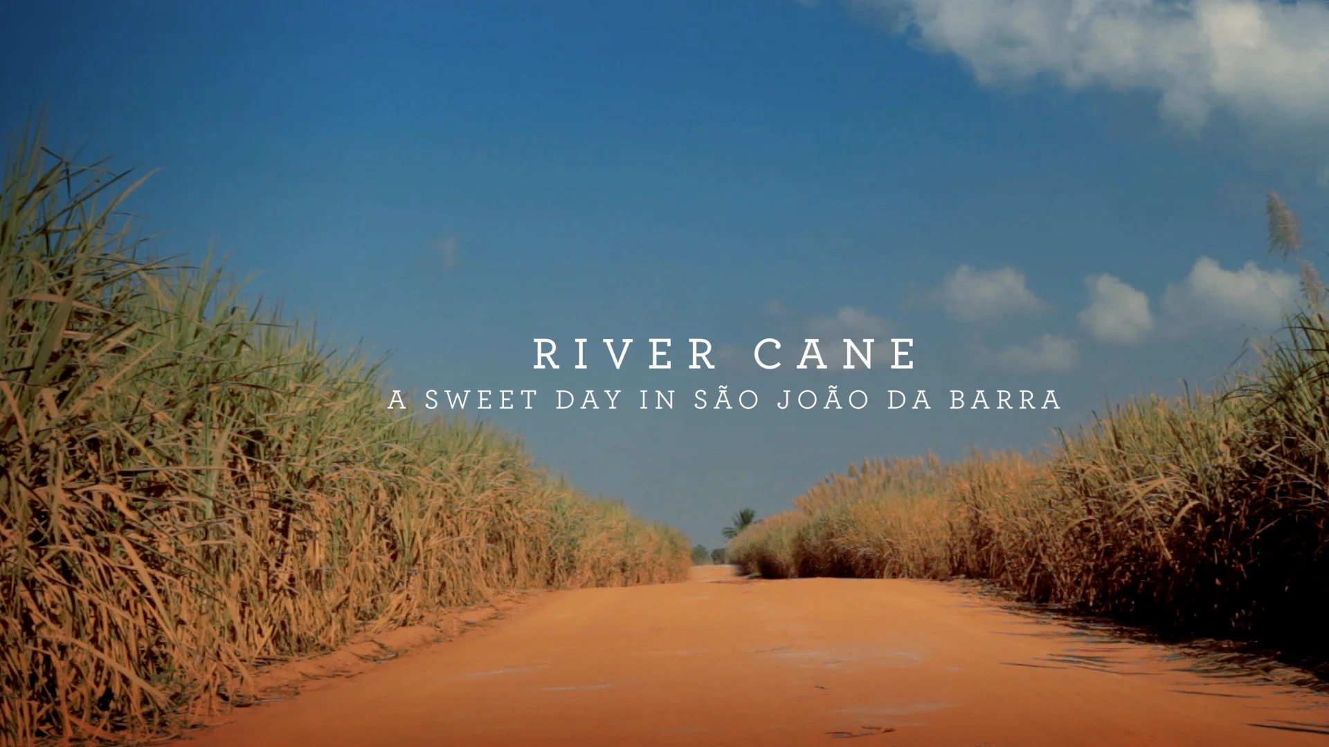 River Cane