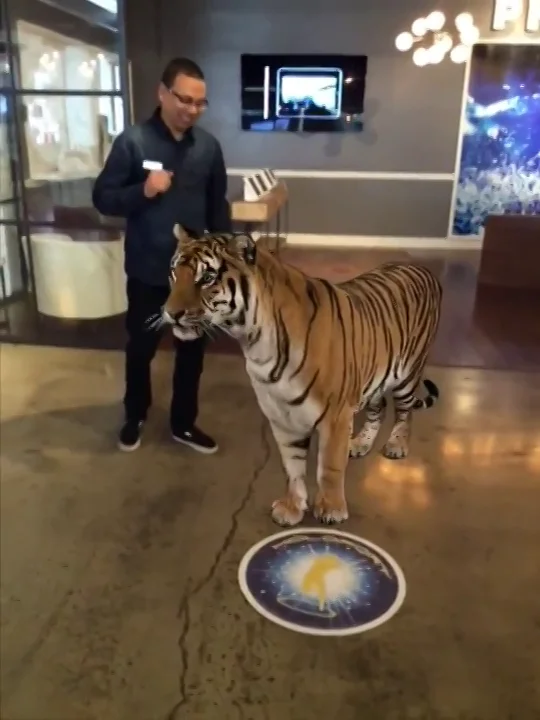 Augmented Reality Tiger on Vimeo