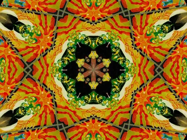 Moe Zart's Turkey Trot on Vimeo