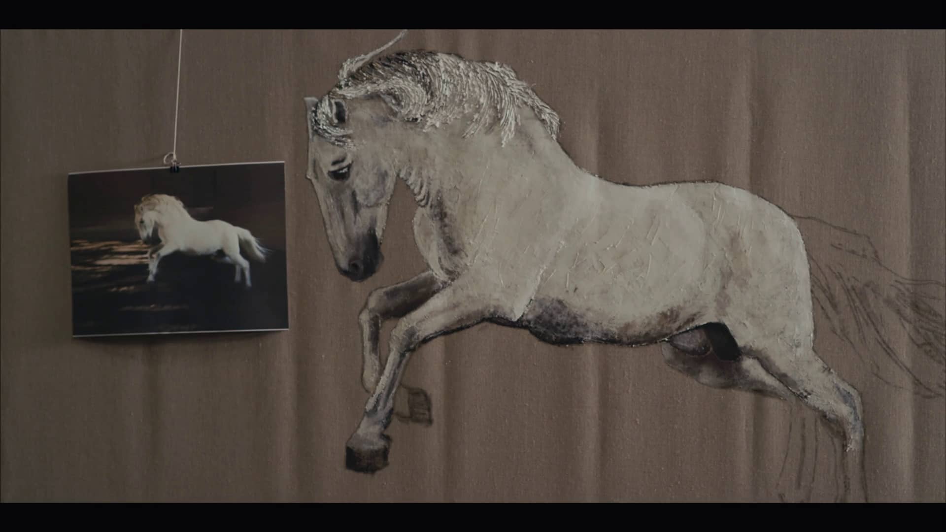 Pursuit of Lightness - The influence of Horses in Candida von Braun's ...