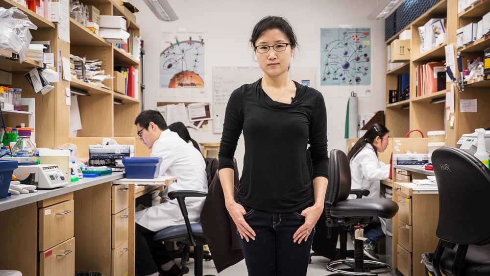 Sun Hur: 2015 Vilcek Prize for Creative Promise in Biomedical Science ...