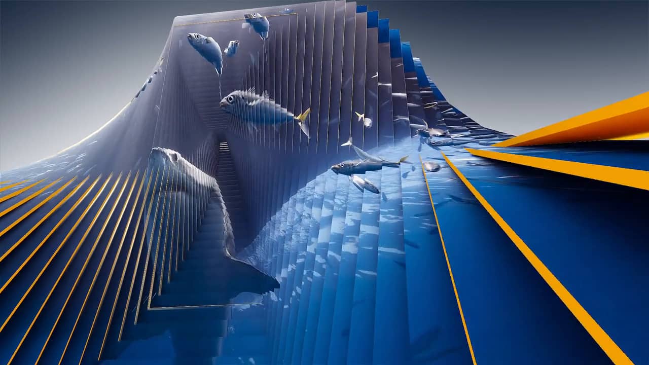 NATIONAL GEOGRAPHIC ID on Vimeo