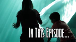 Watch Detectives Club -- Kids TV series airing on WTTW11 Online | Vimeo ...