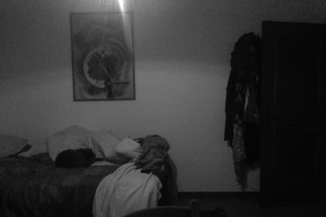 An IMPOSSIBLE FACE ! words marino ramingo script the countess alex ...