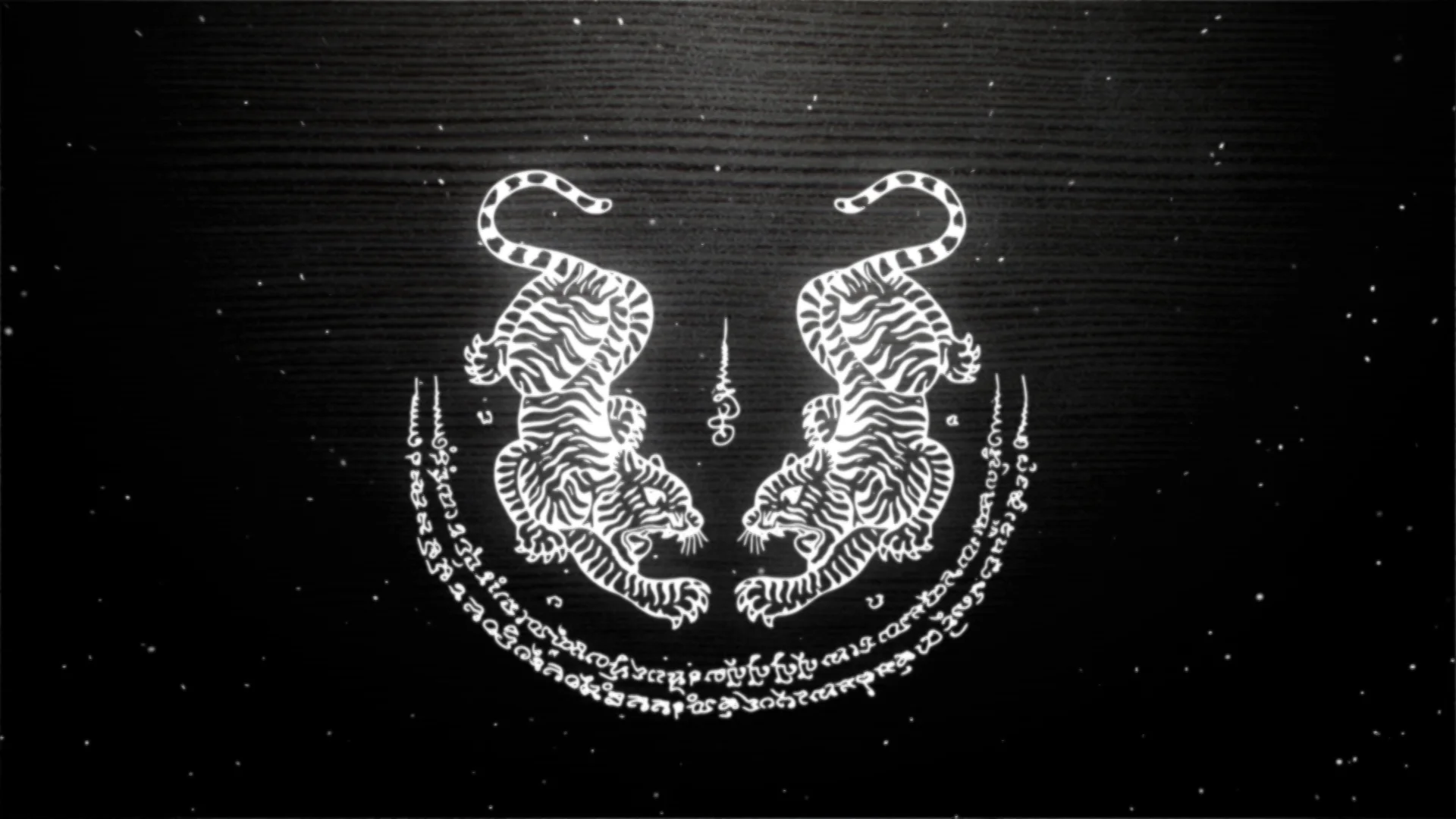 SakYan - Logo Reveal - v2 on Vimeo