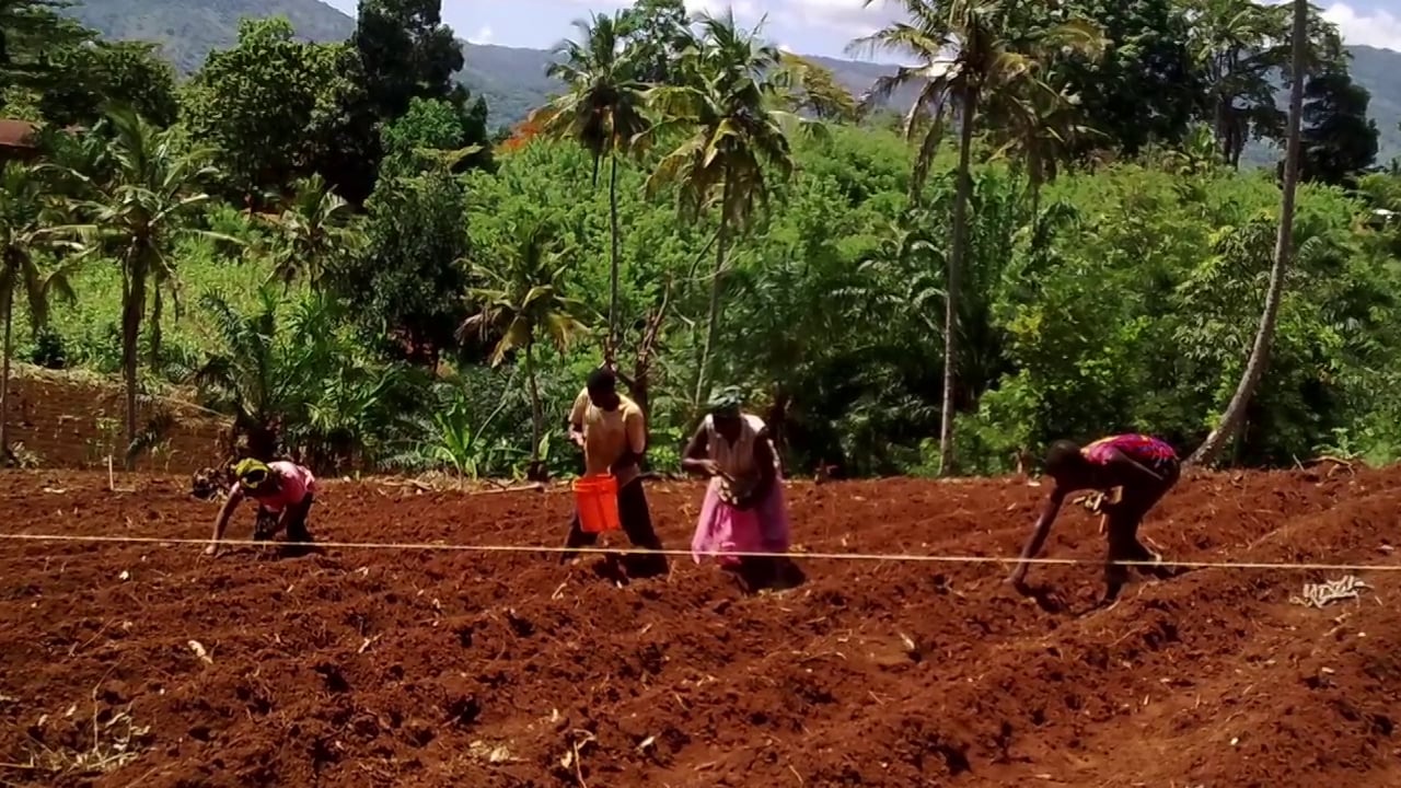 MEDA in Tanzania (German) on Vimeo