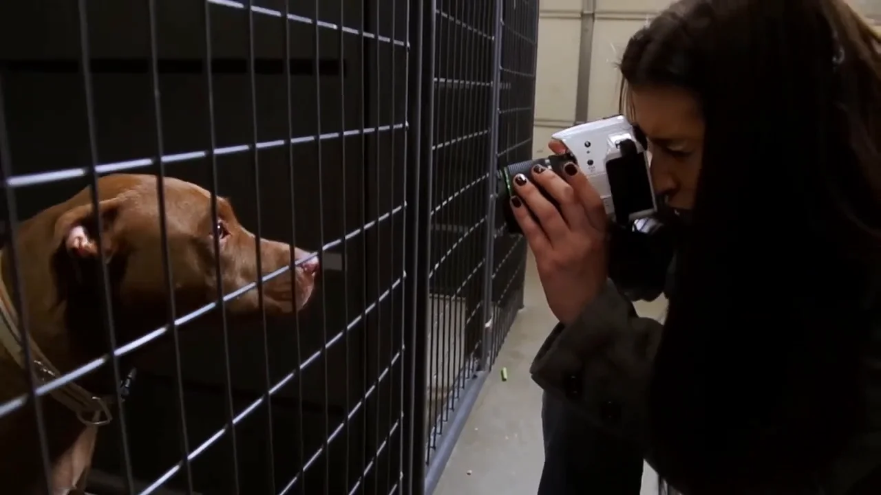 Jasper Gray - Jasper Gray Director/Cameraman, PENTAX "AMBER" www ...