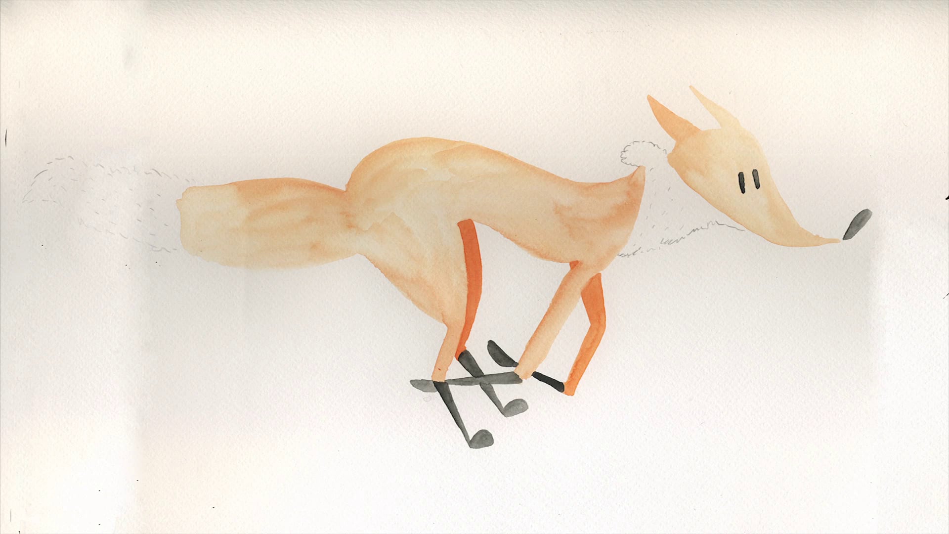 Fox Run Cycle on Vimeo