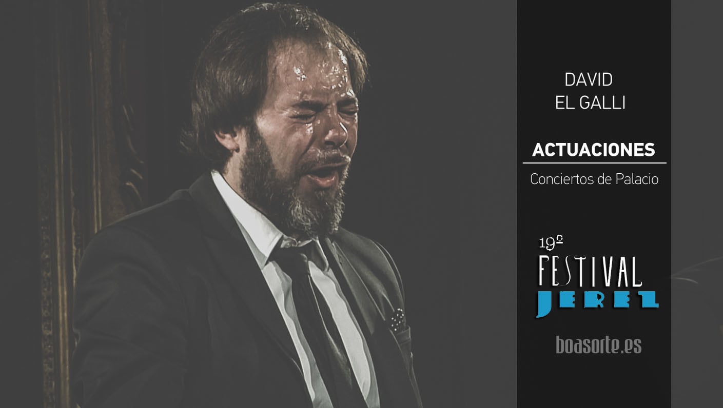 David El Galli | Festival de Jerez on Vimeo