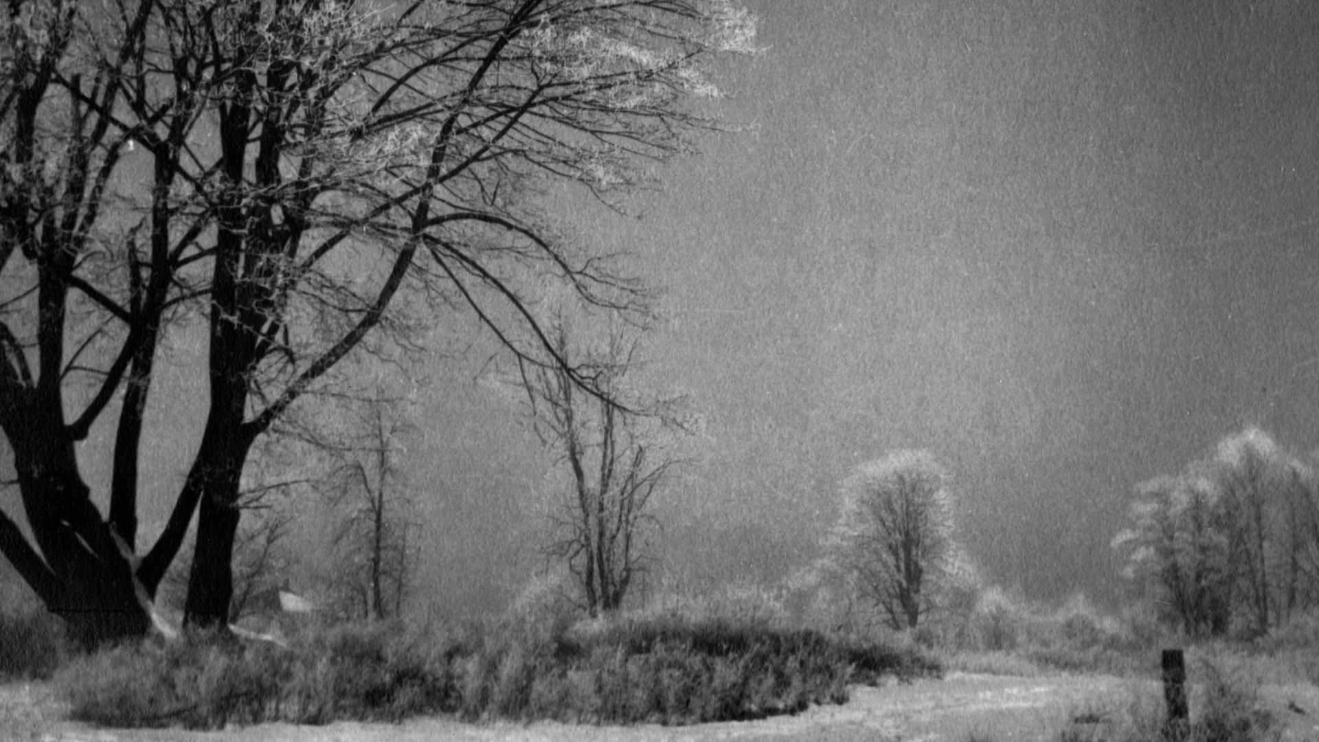 The Seattle camera club on Vimeo