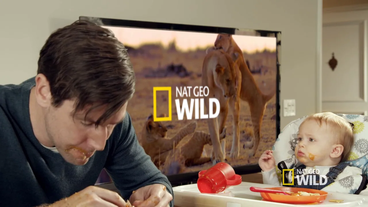 Geico | NatGeo Wild | Big Cats on Vimeo