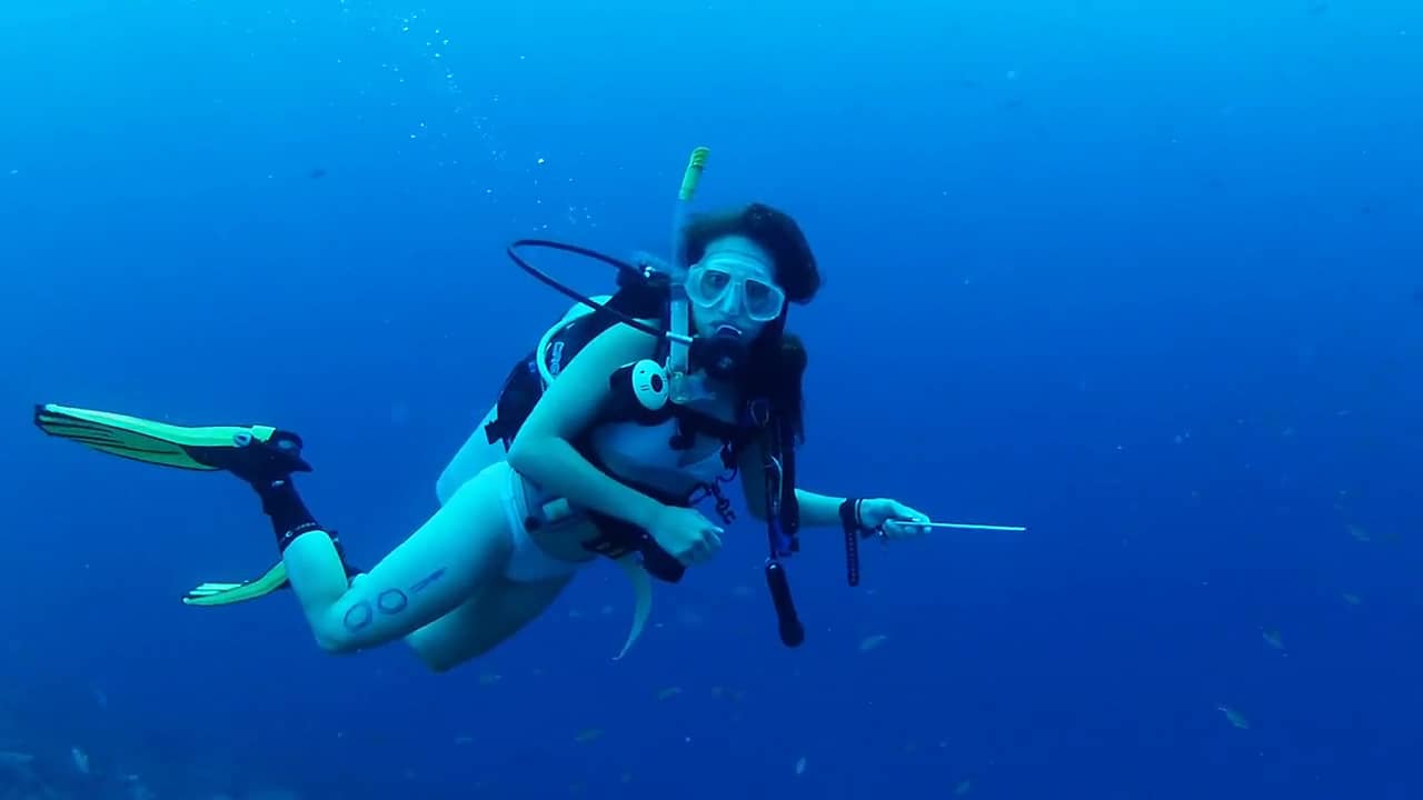 Bonnies-100th dive on Vimeo