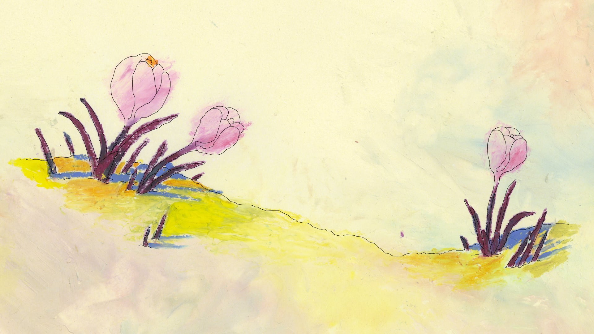 Tabasum by Isabelle Aspin & Brian Smee on Vimeo