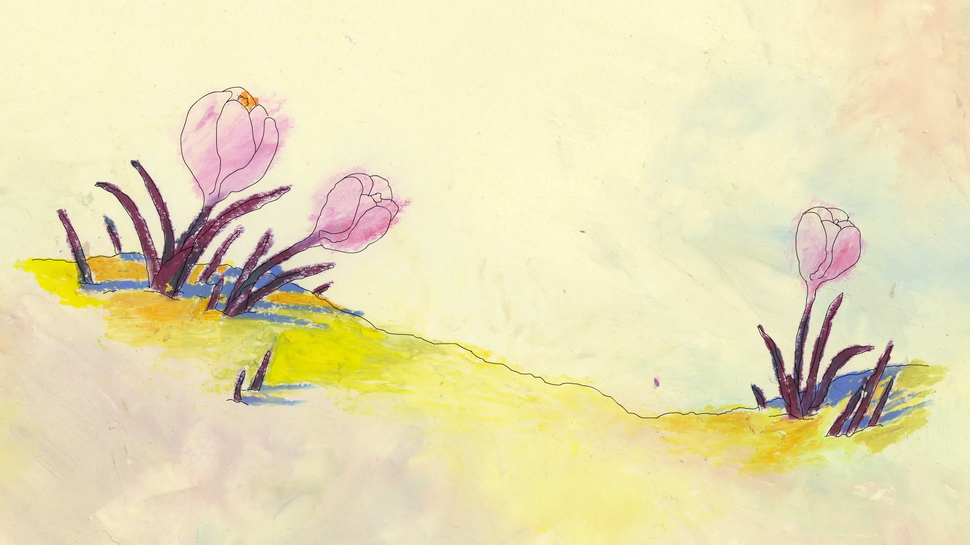 Tabasum by Isabelle Aspin & Brian Smee on Vimeo