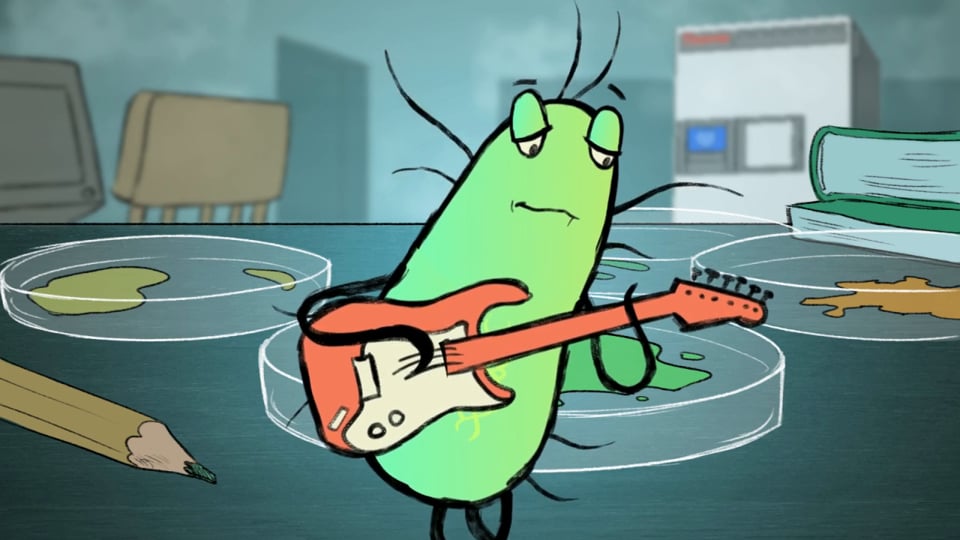 Digital 2D Animation - Calabash Animation | 2D, 3D, VFX, Character ...