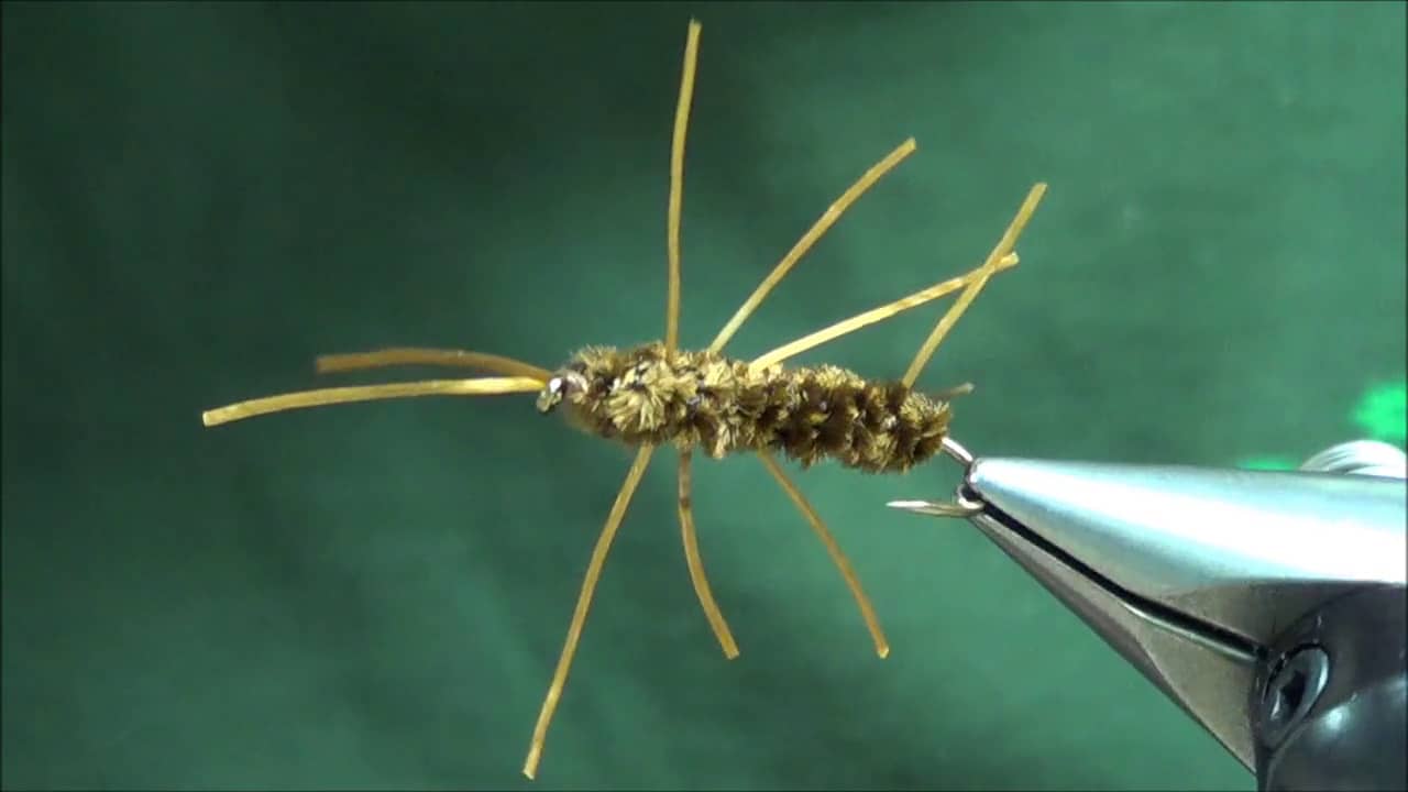 Fly Tying: Rubber Legs/Girdle Bug on Vimeo
