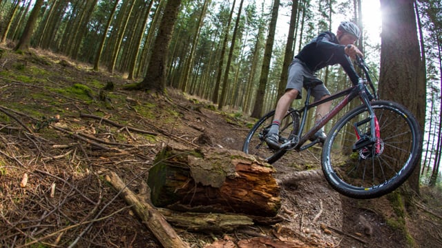 Lauf Forks – Trail racer | IMB | Free Mountain Bike Magazine Online