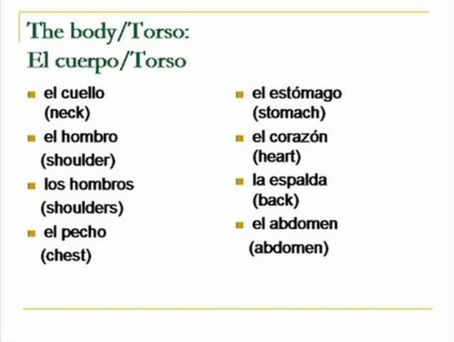 Spanish For Nurses Lesson 4: Body Parts on Vimeo