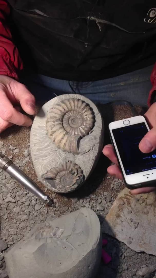 Cleaning an Androg Ammonite on Vimeo