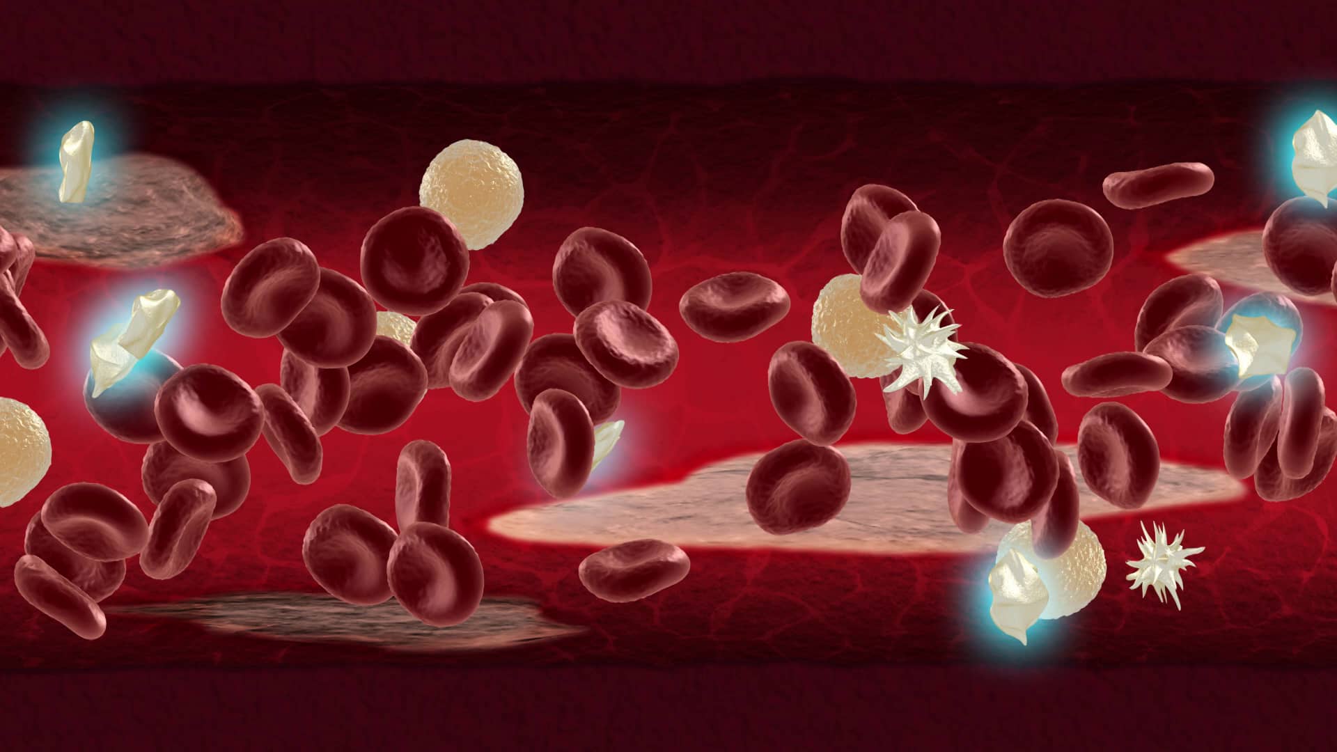 DSM - Fruitflow - promo on Vimeo