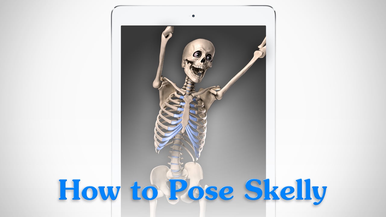 Skelly App Tutorial on Vimeo