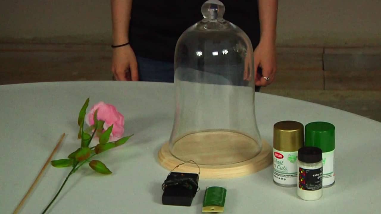 DIY Beauty and the Beast Enchanted Rose on Vimeo