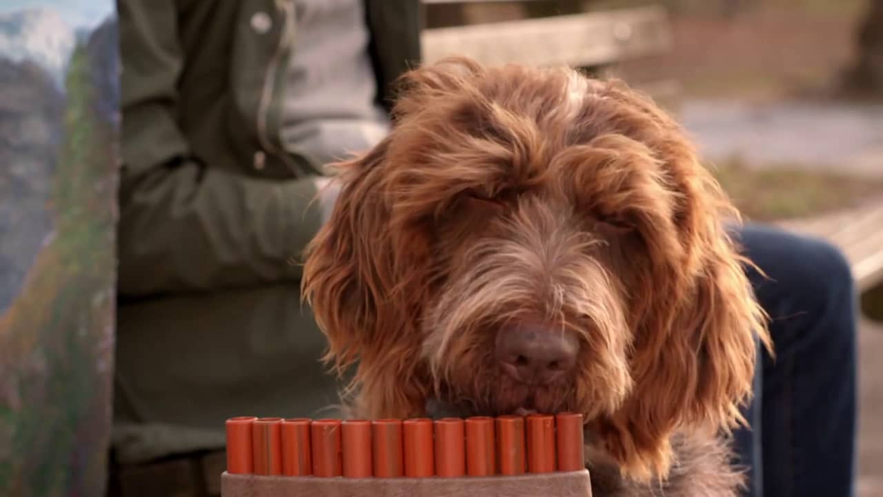 MARS Bar - Super Bowl Winning TV advert on Vimeo