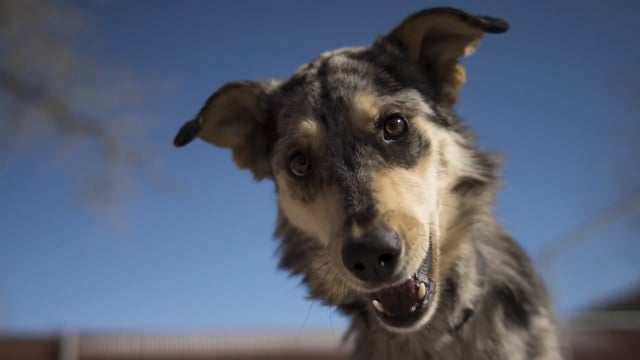 Jasper Gray for Zimmerman - Jasper Gray Director/Cameraman, FIN www ...