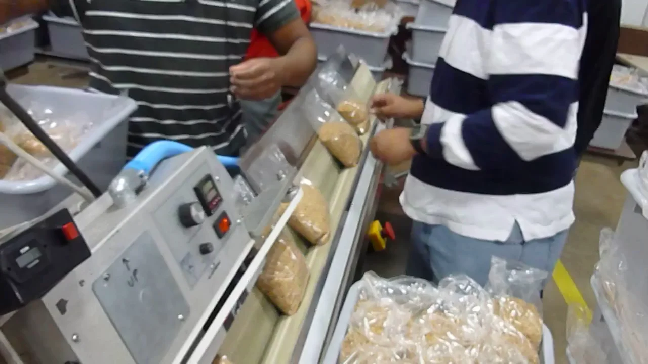 EMPLEX Heavy Duty Band Sealing Systems - EMPLEX ACS 6200 12X12 RICE ...