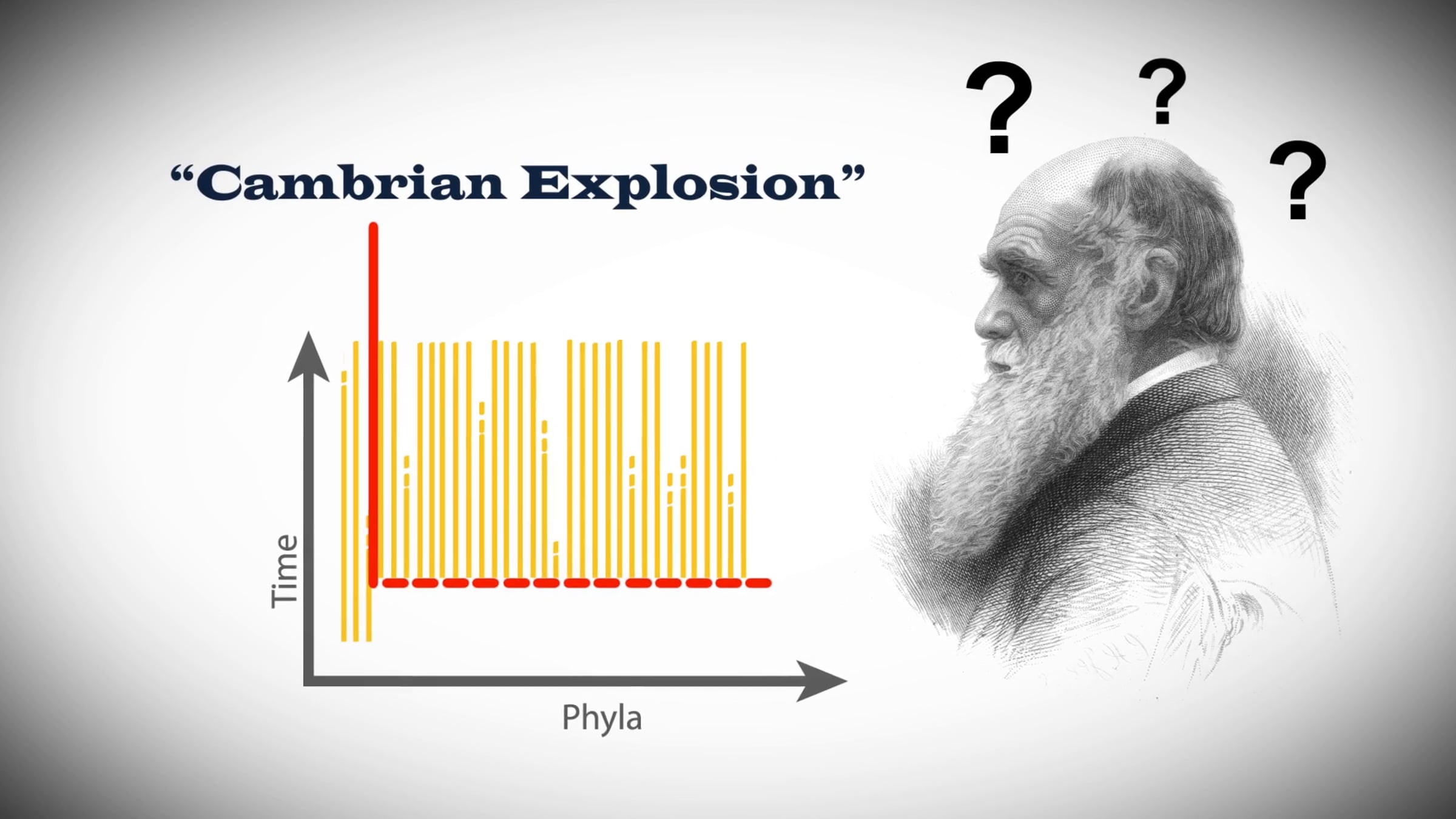That's a Fact - Cambrian Explosion