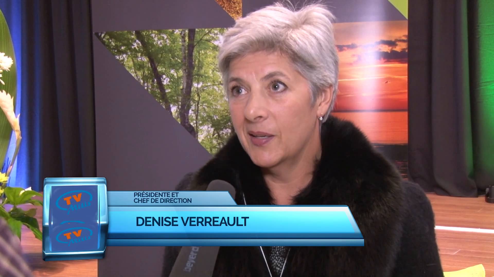 Denise Verreault on Vimeo
