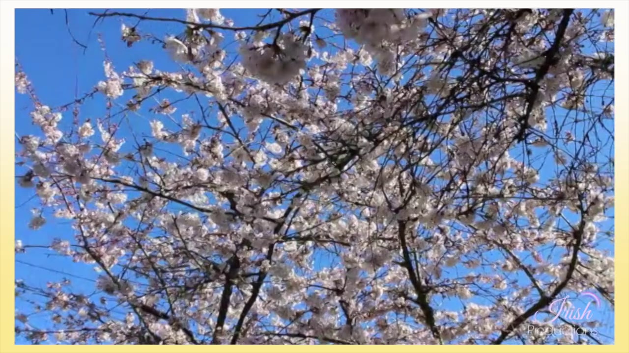 Irish Spring Break to Seattle 2015 on Vimeo