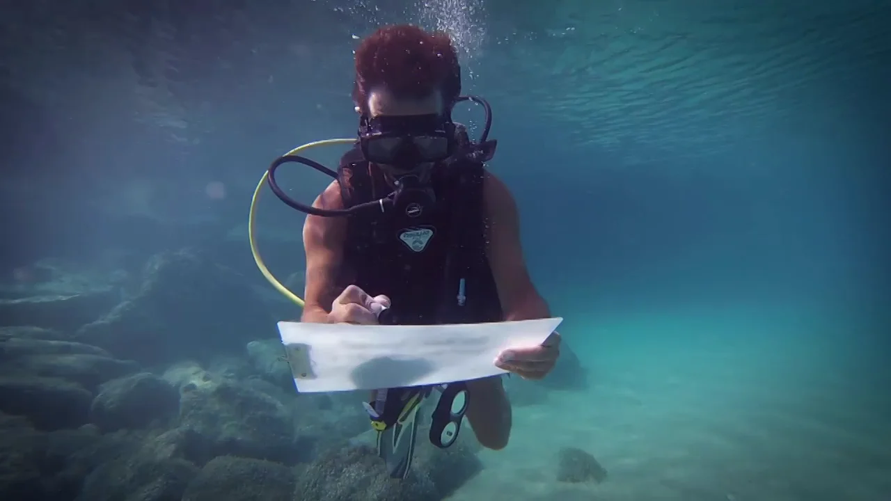 LOGO VIDEO REVEAL SAMPLES - Video#20 on Vimeo