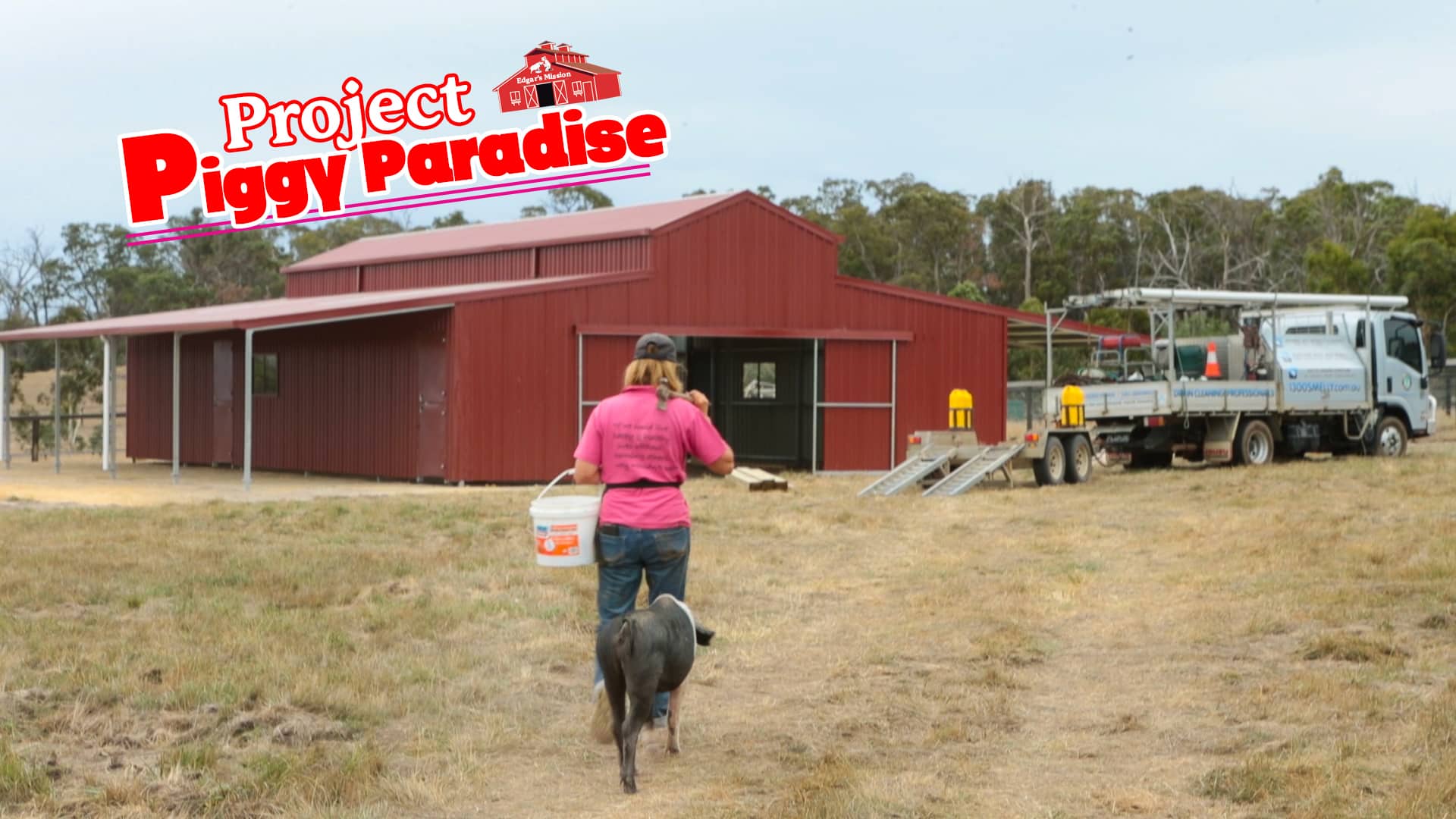 Project Piggy Paradise Update on Vimeo