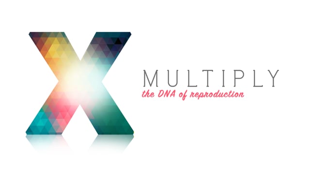 Multiply (Series) on Vimeo
