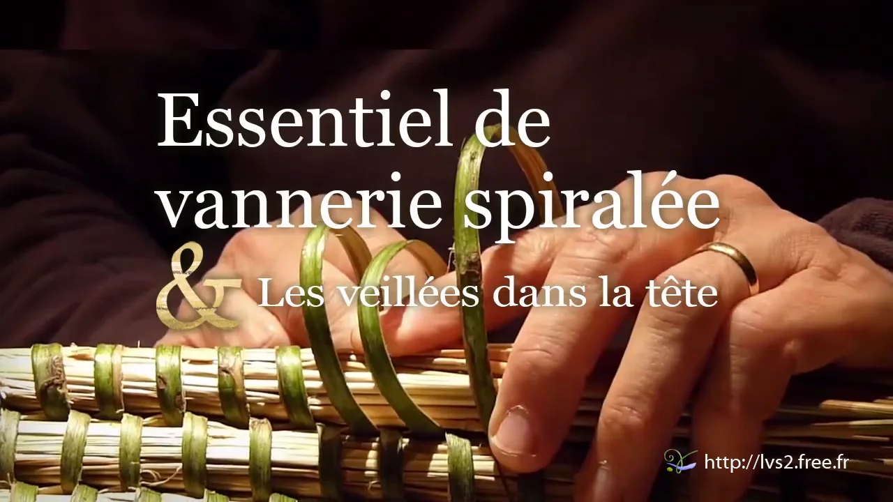 Essentiel de vannerie spiralée