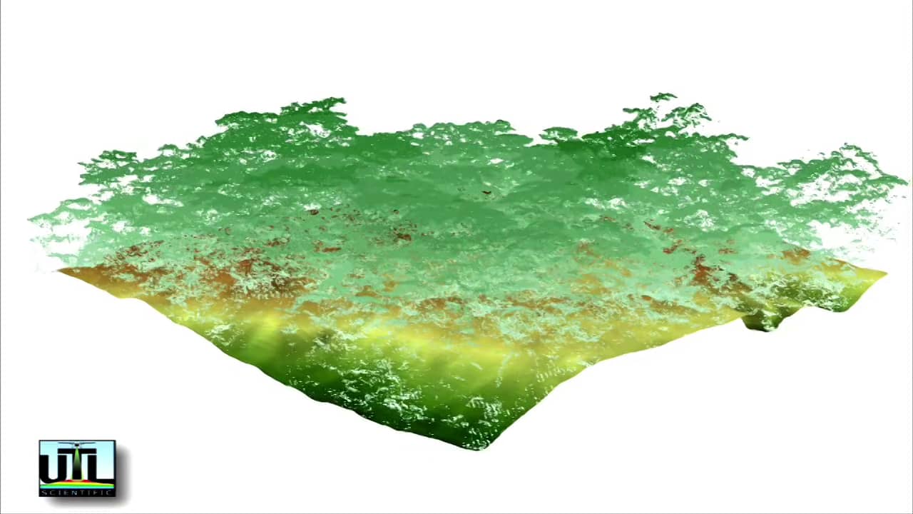 Lidar Raised Tree Canopy Animation on Vimeo