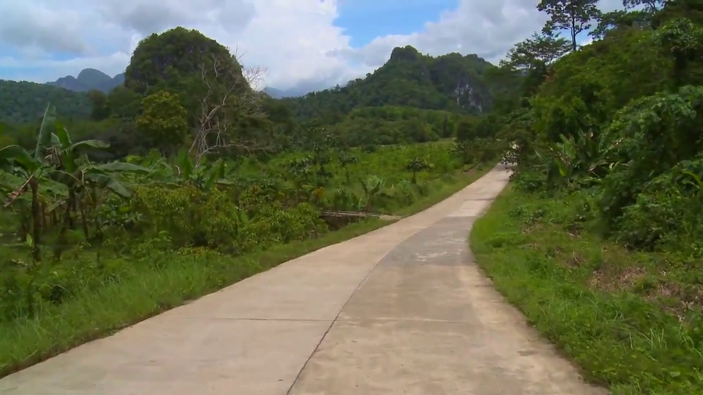Cycle Through Tropical Scenery- Great Bike ride In Tropical Landscapes