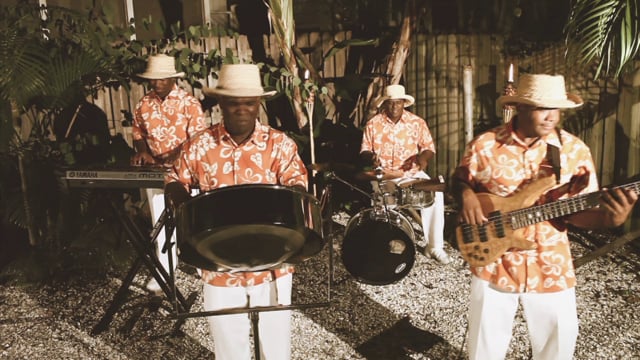 The Tropicals – Acoustic Island Band | IBA Music