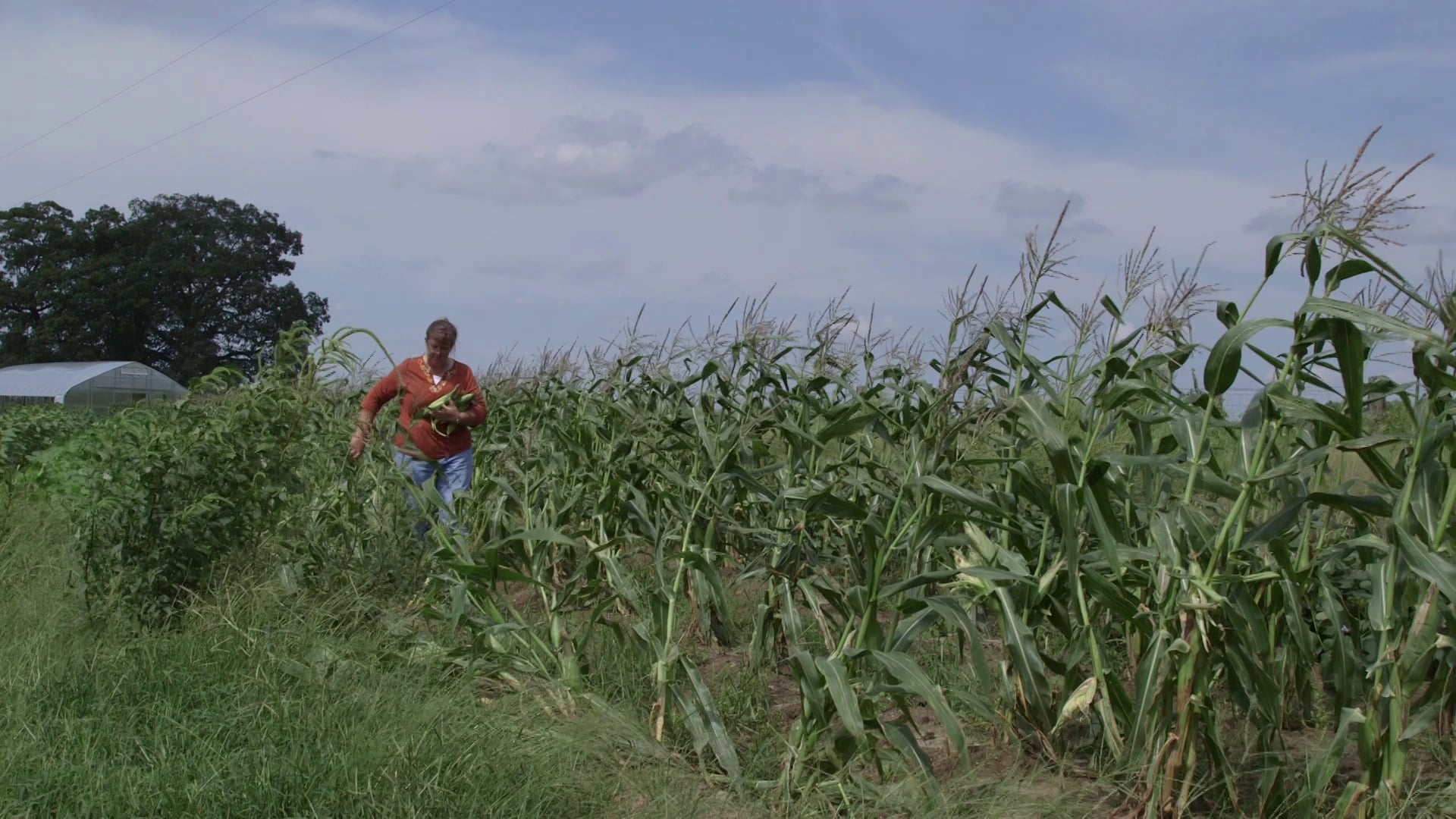 Unearthed: Meadow Lane Farms on Vimeo