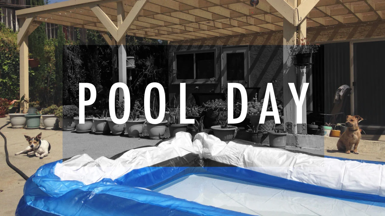 POOL DAY on Vimeo