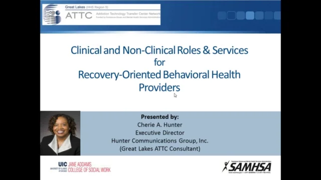Clinical and Non-Clinical Services and Roles for Recovery-oriented ...