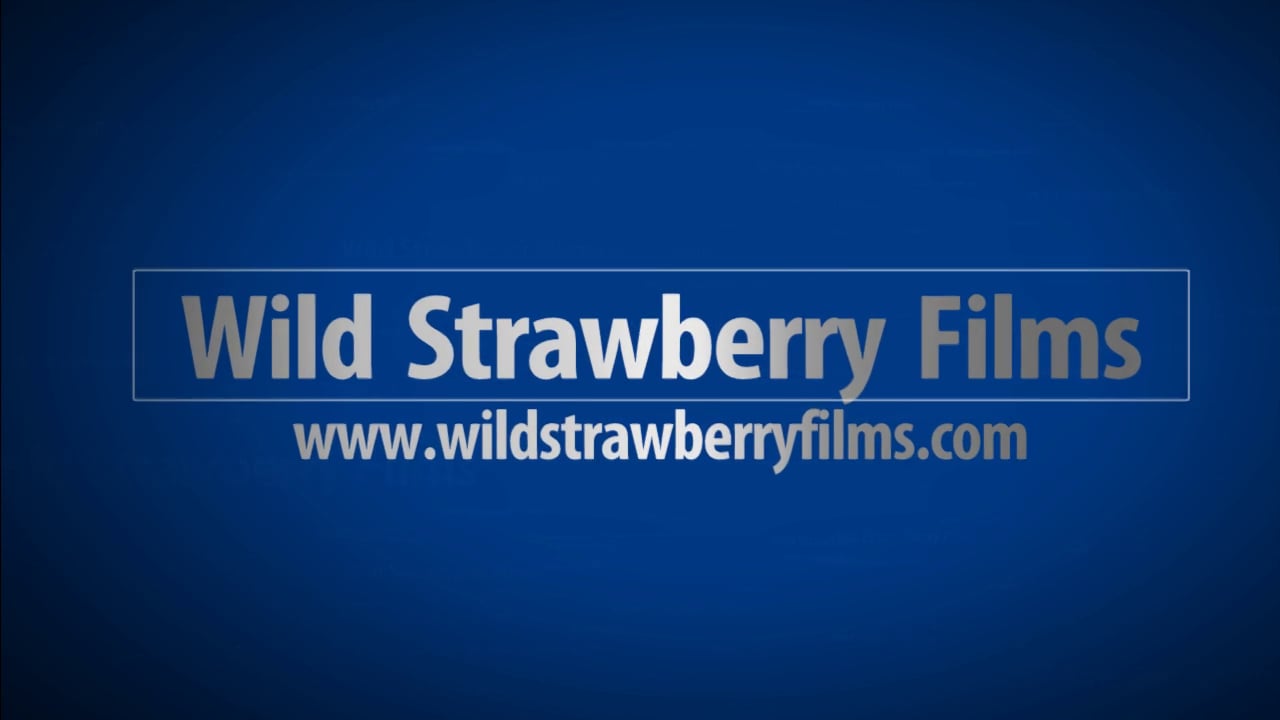 Wild Strawberry Films Wayne Schotten - A Wonderful Discovery on Vimeo