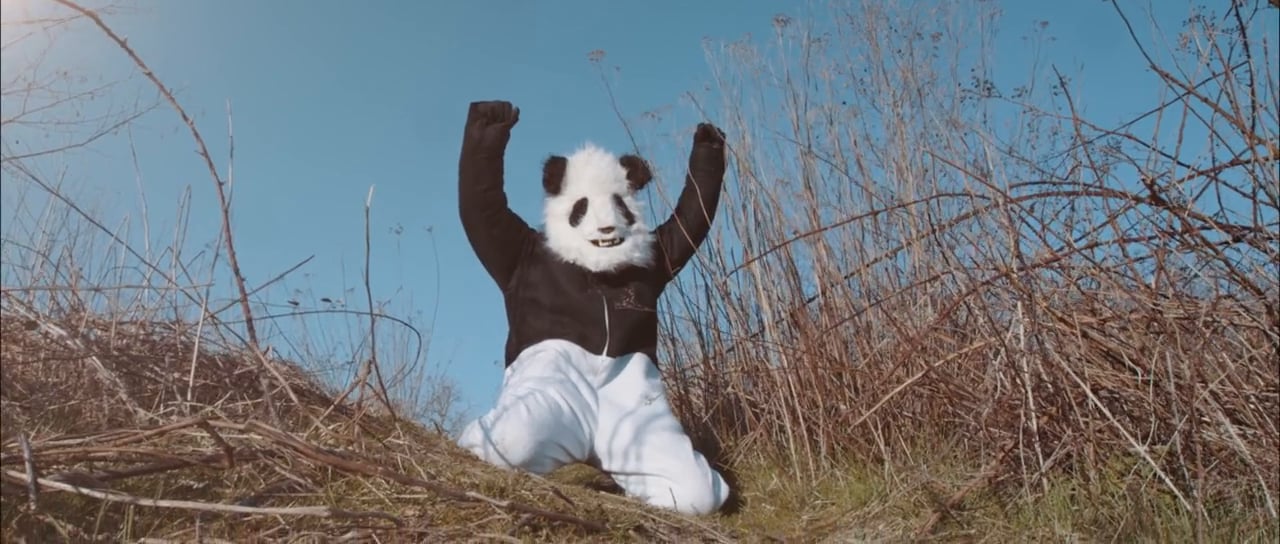 The Last Panda on Vimeo